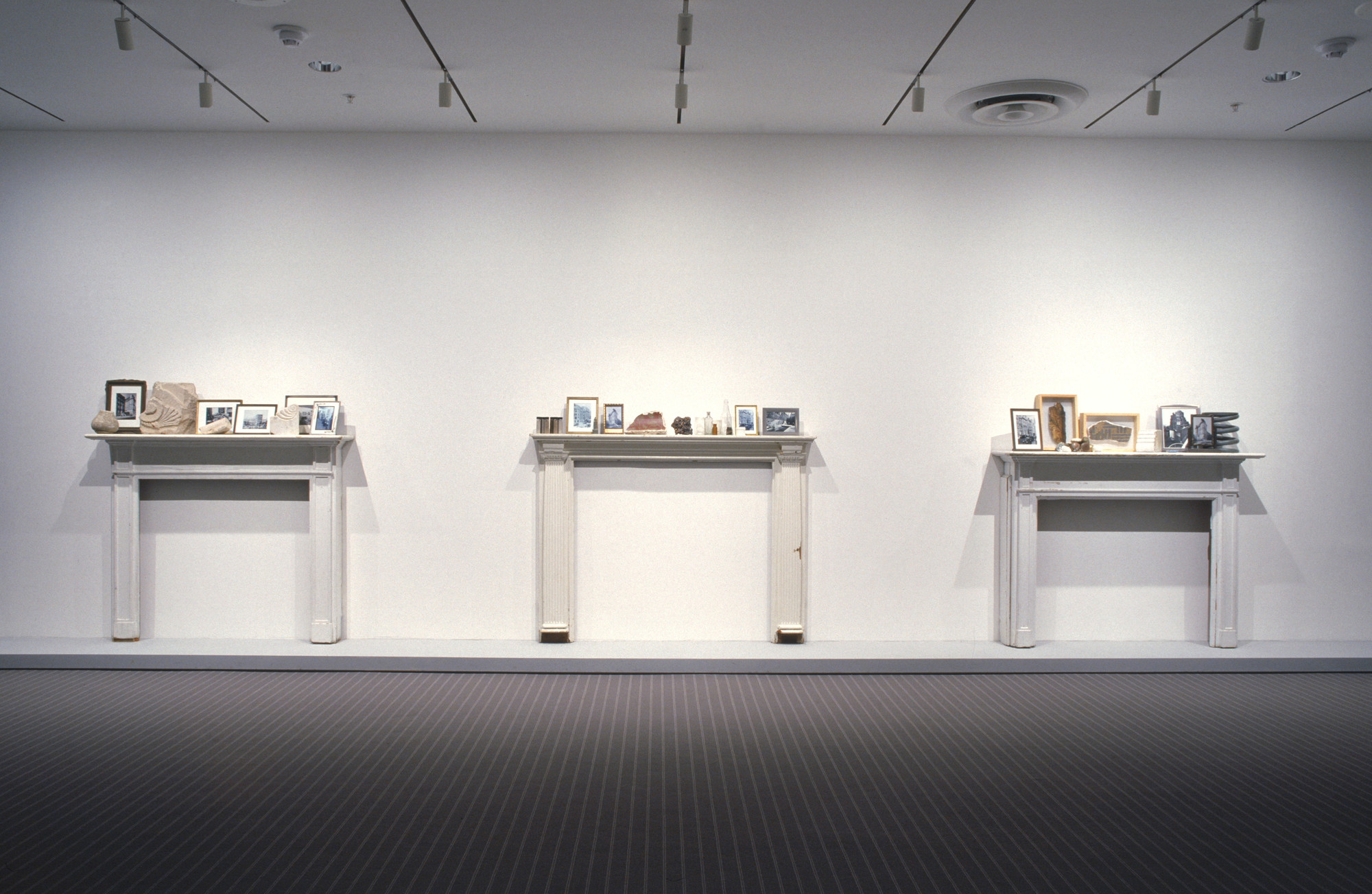 Installation view of the exhibition "Projects 82: Mark Dion - Rescue ...