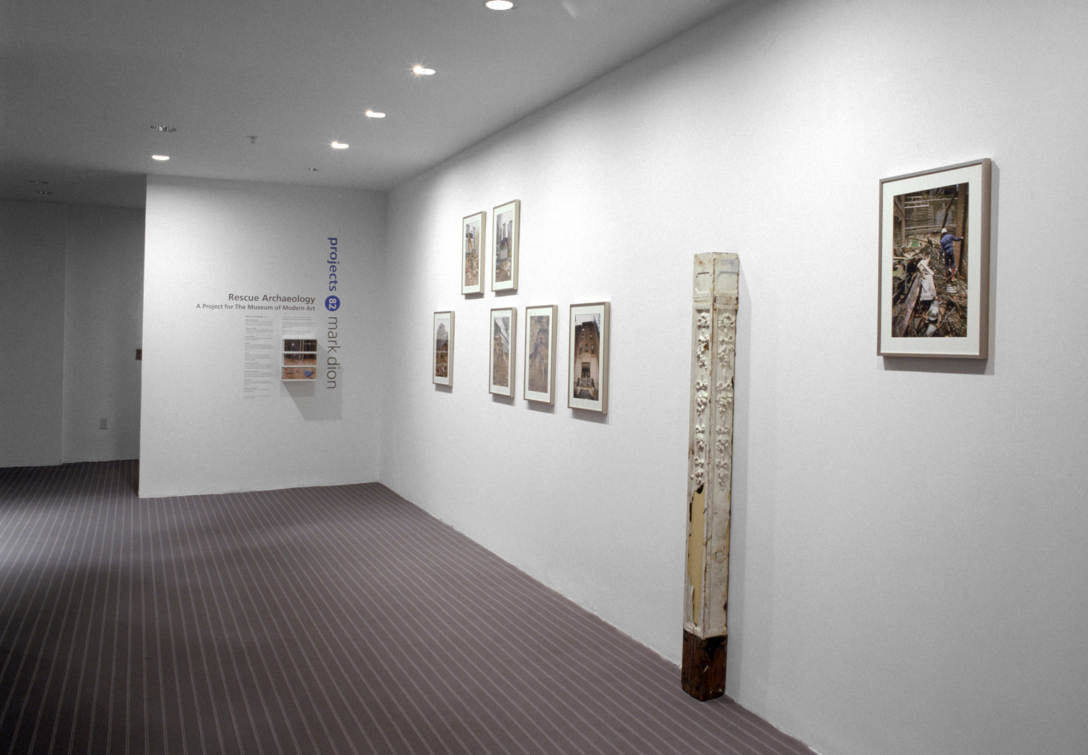 Projects 82: Mark Dion—Rescue Archaeology, A Project for The Museum of ...