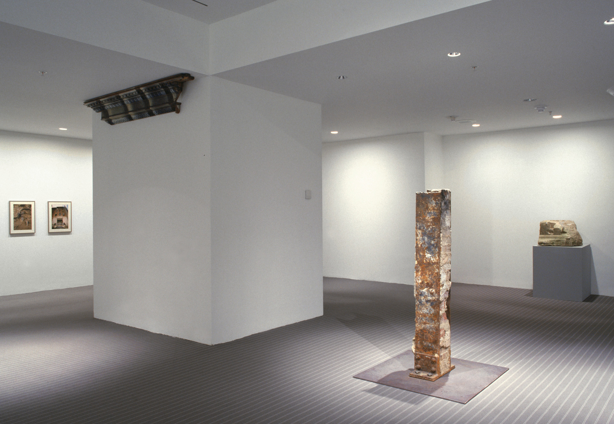Installation view of the exhibition "Projects 82: Mark Dion - Rescue ...