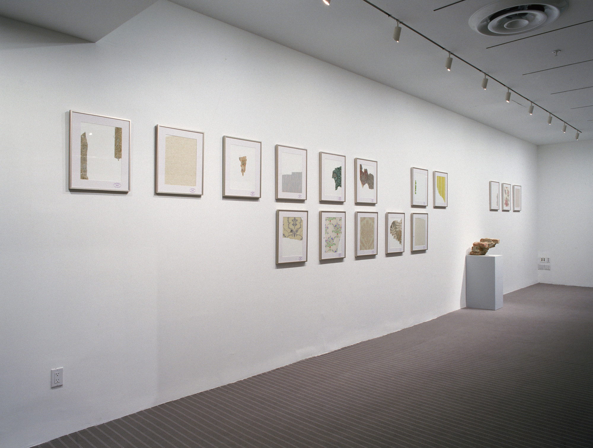 Installation view of the exhibition "Projects 82: Mark Dion - Rescue ...