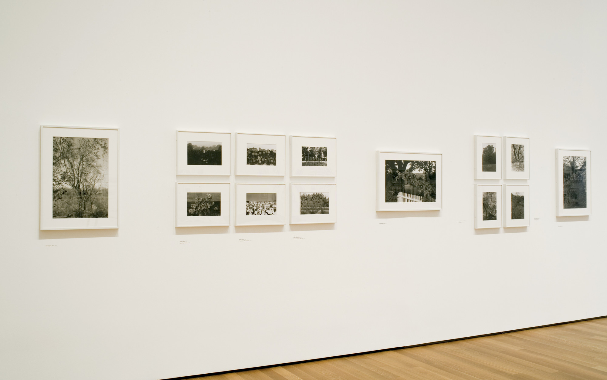 Installation view of the exhibition "Friedlander" | MoMA