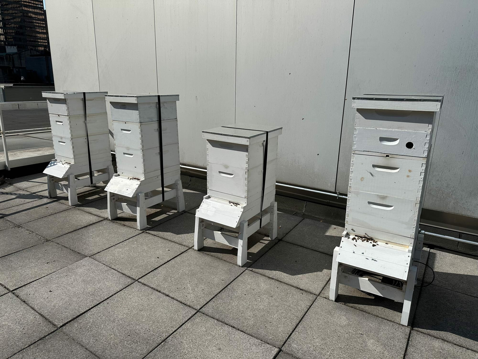 Other projects | MoMA