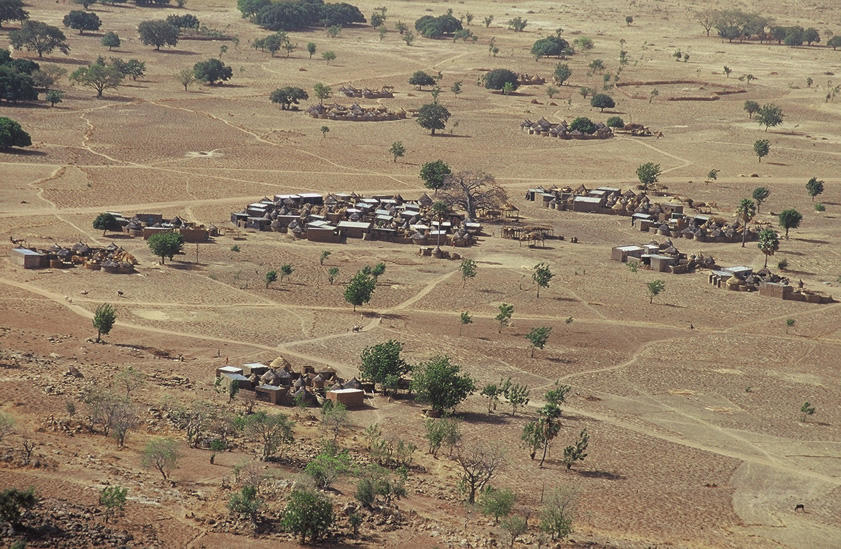 MoMA | Small Scale, Big Change | Primary School