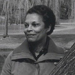 MoMA | Jacob Lawrence's Migration Series