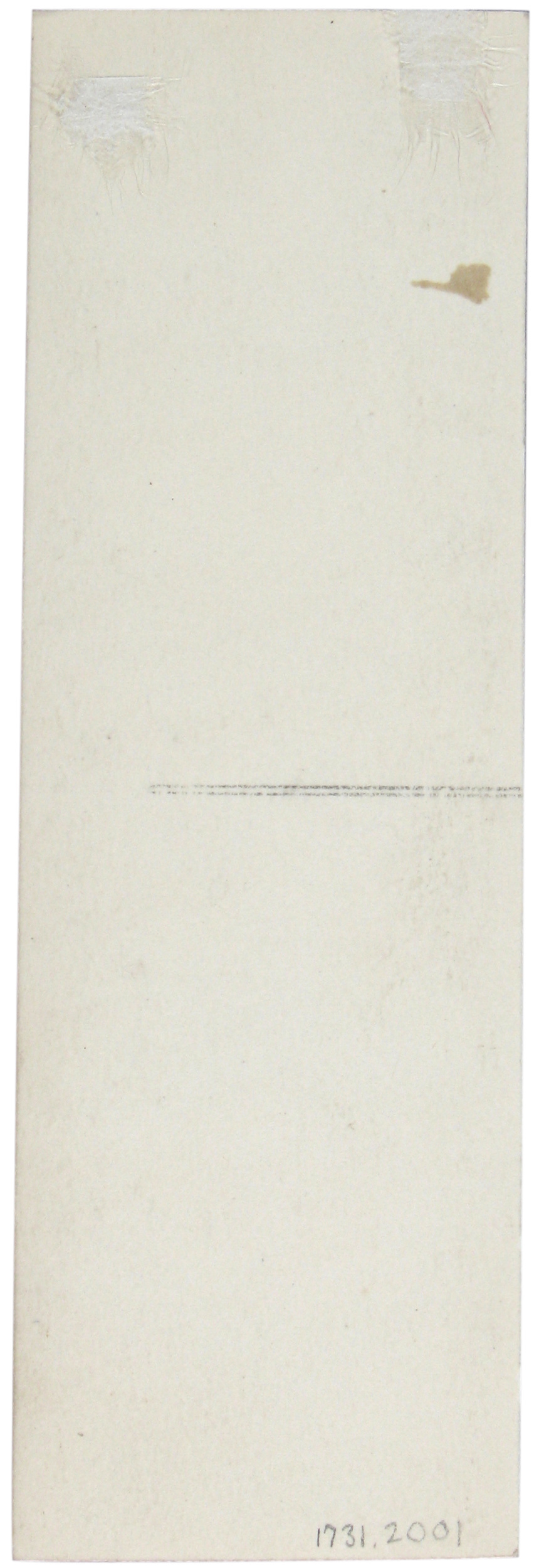 Magda Förstner | Object:Photo | MoMA