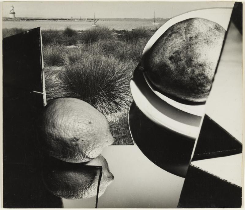 Still Life Composition | Object:Photo | MoMA