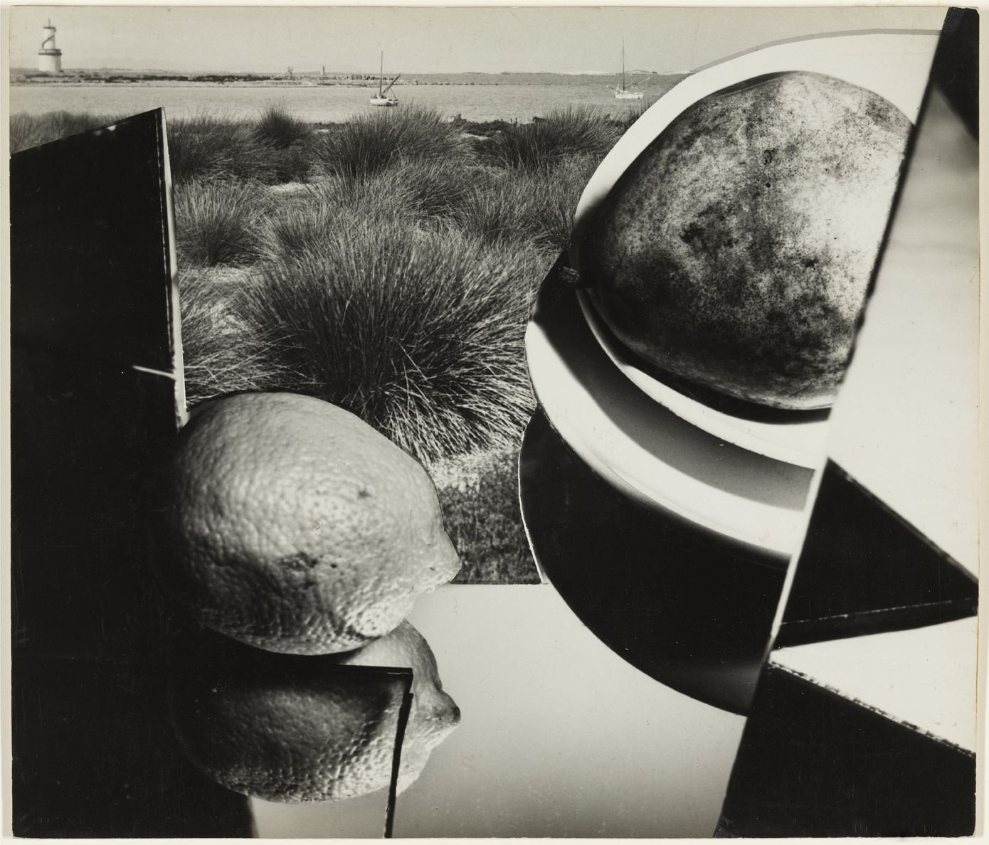 Still Life Composition | Object:Photo | MoMA