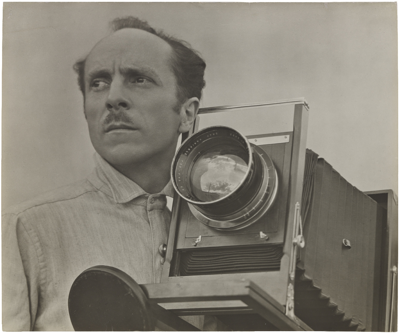 Edward Weston | Object:Photo | MoMA