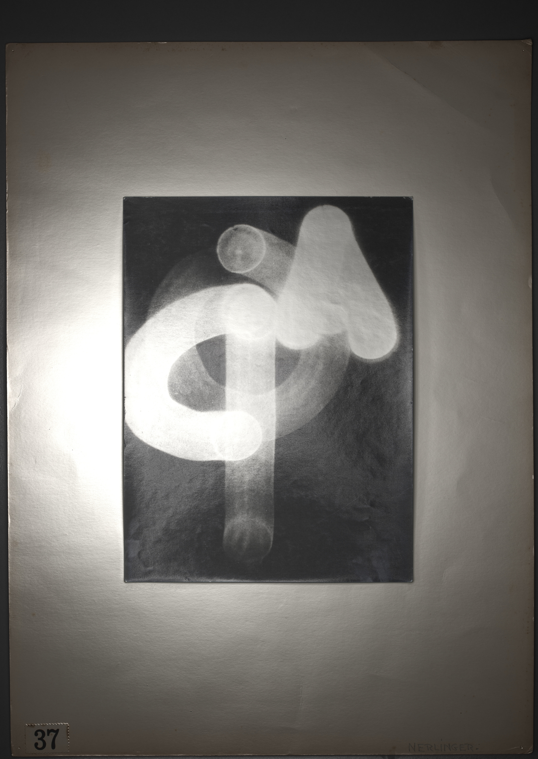 Photogram Signet | Object:Photo | MoMA