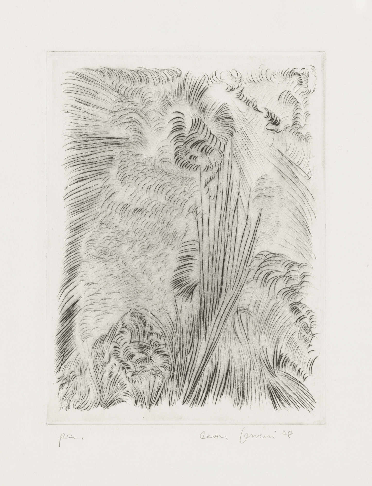 León Ferrari. Untitled. 1978 | MoMA