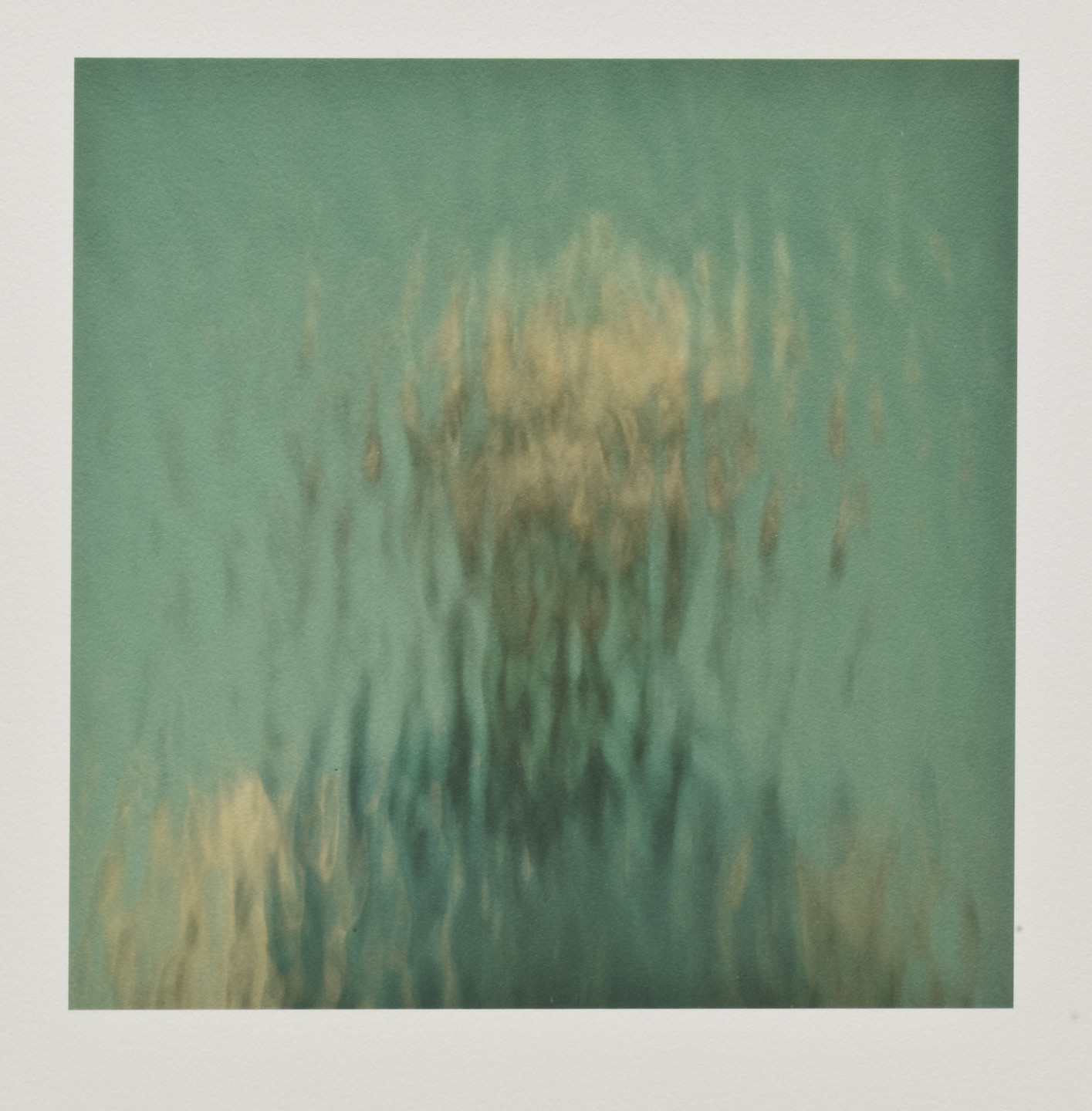 Ann Hamilton. Flectere. 2000 | MoMA