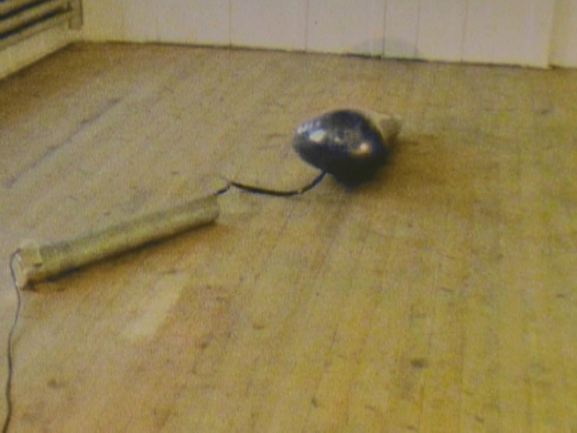 Roman Signer. Blue Smoke. 1985 | MoMA