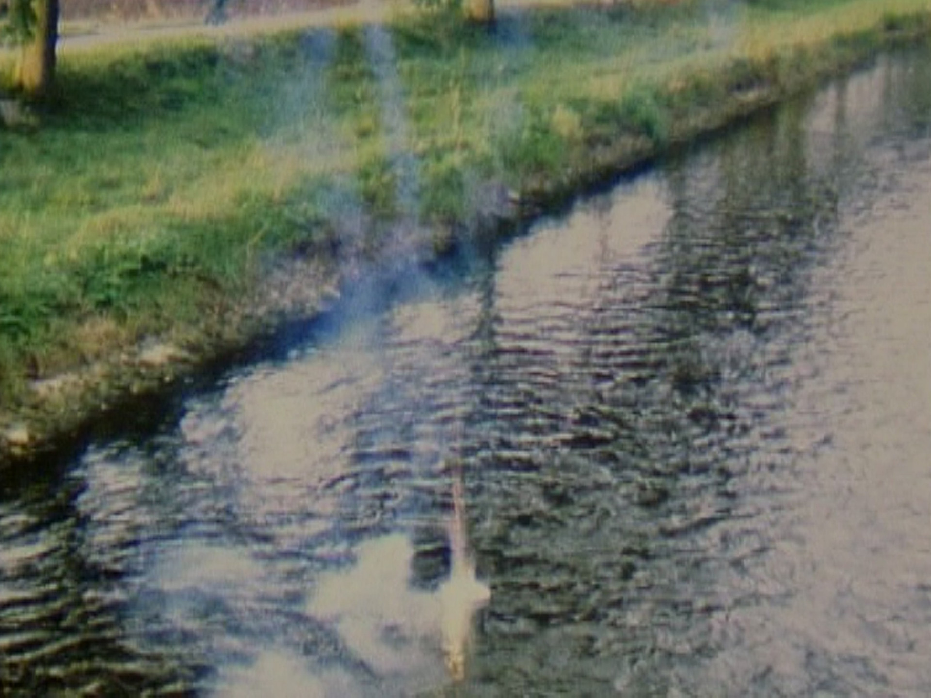 Roman Signer. Bucket with Rockets. 1985 | MoMA