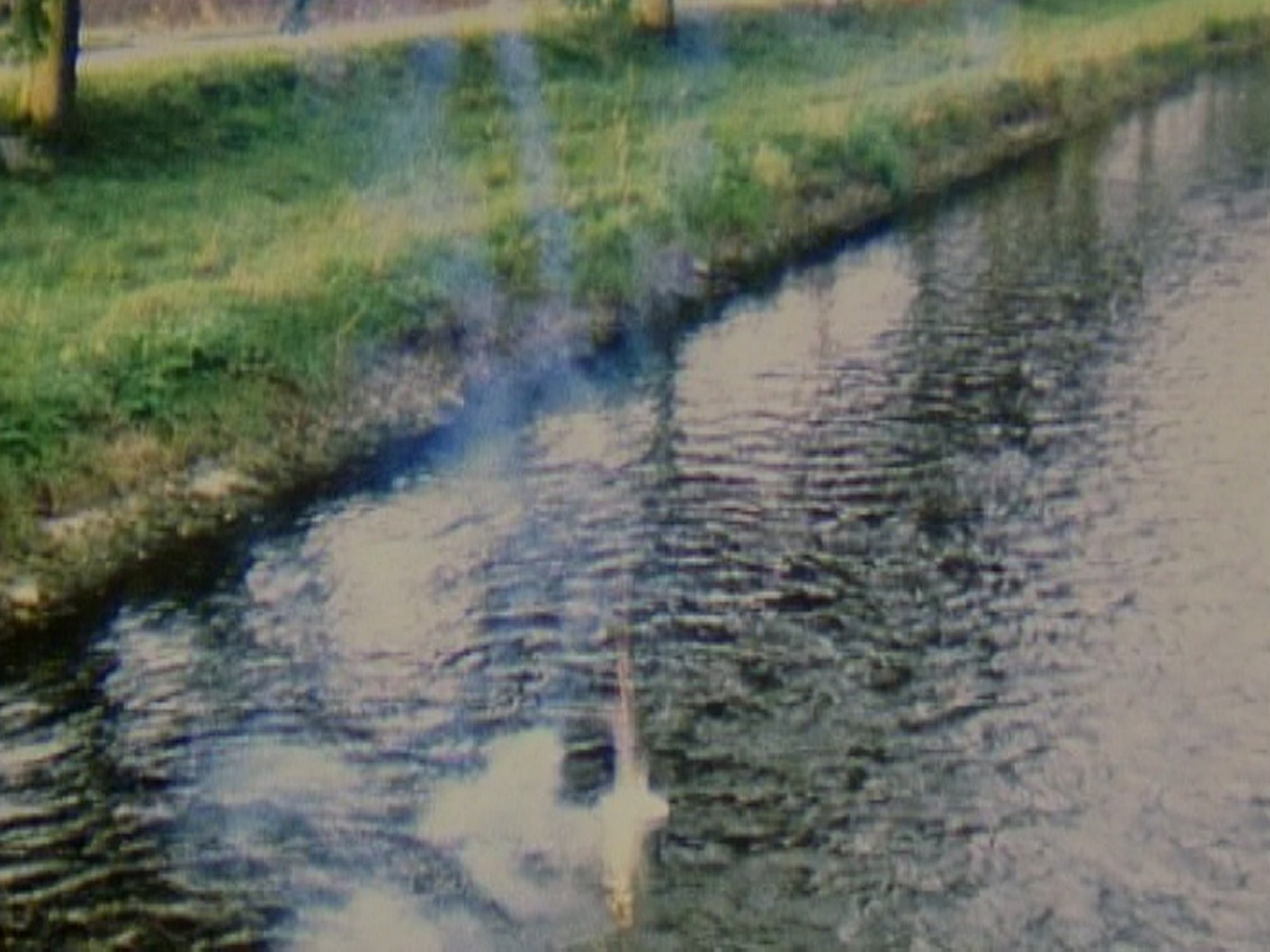 Roman Signer. Bucket with Rockets. 1985 | MoMA