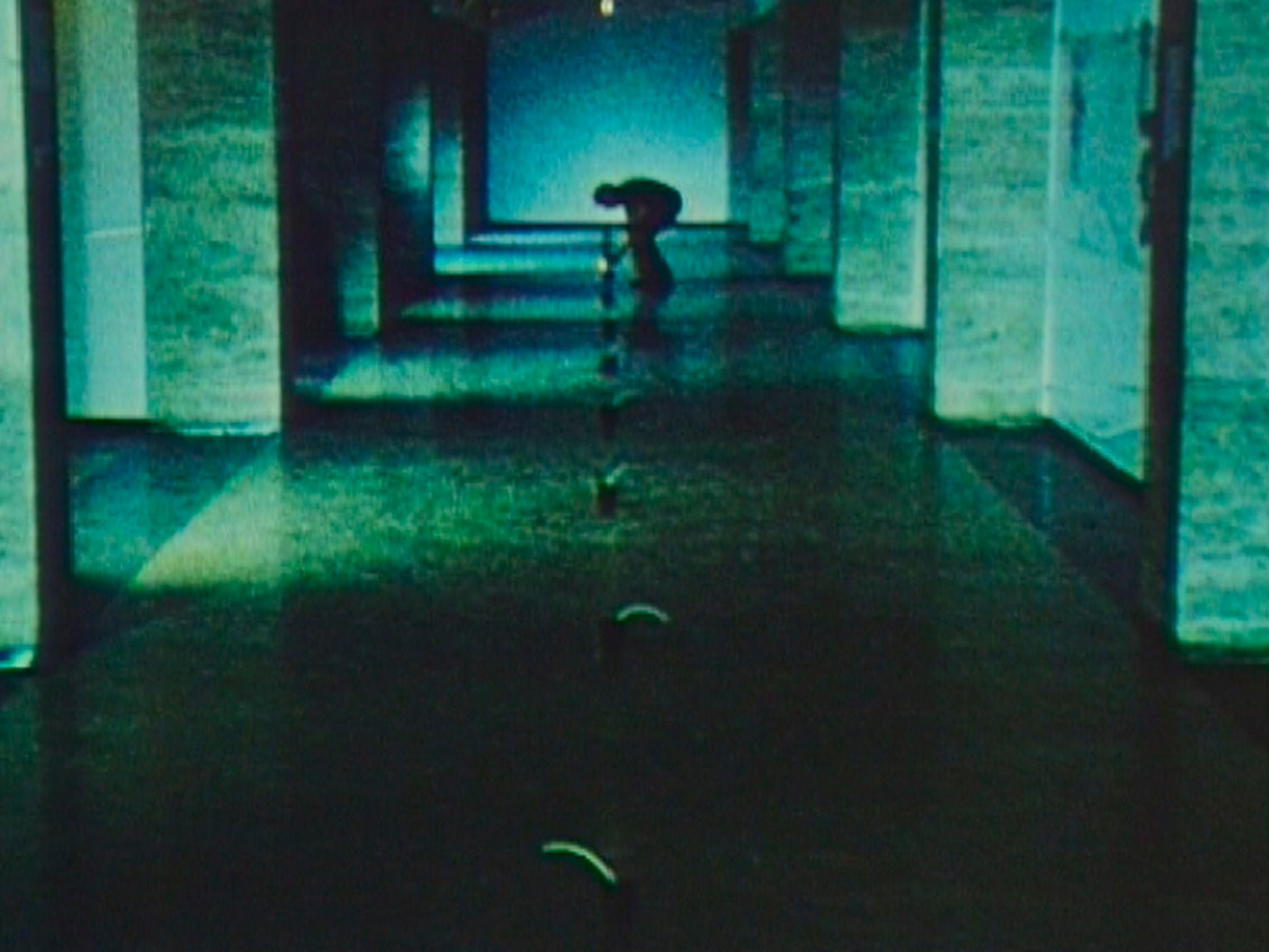 Roman Signer. Action. 1981 | MoMA