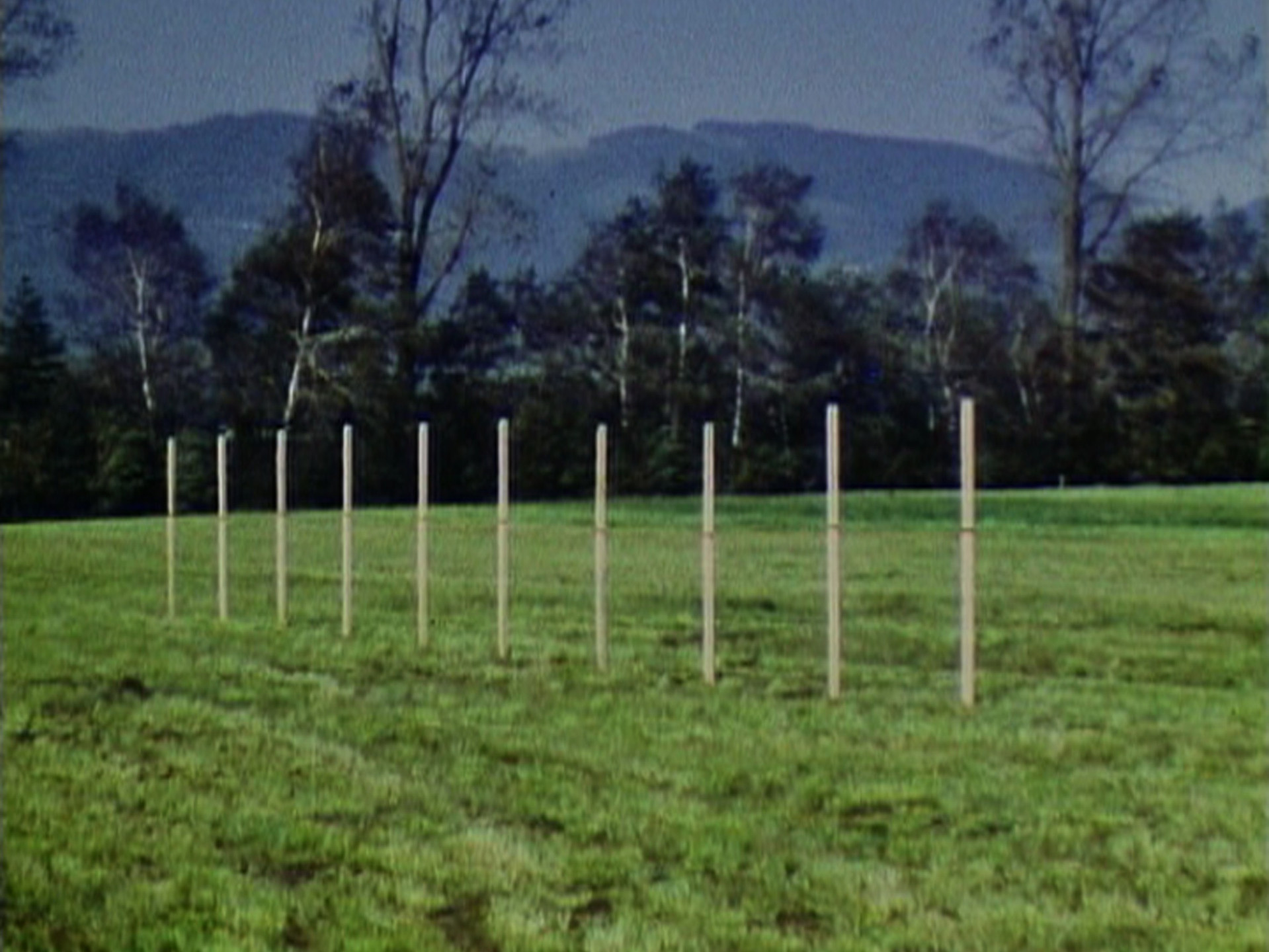 Roman Signer. Rods. 1981 | MoMA