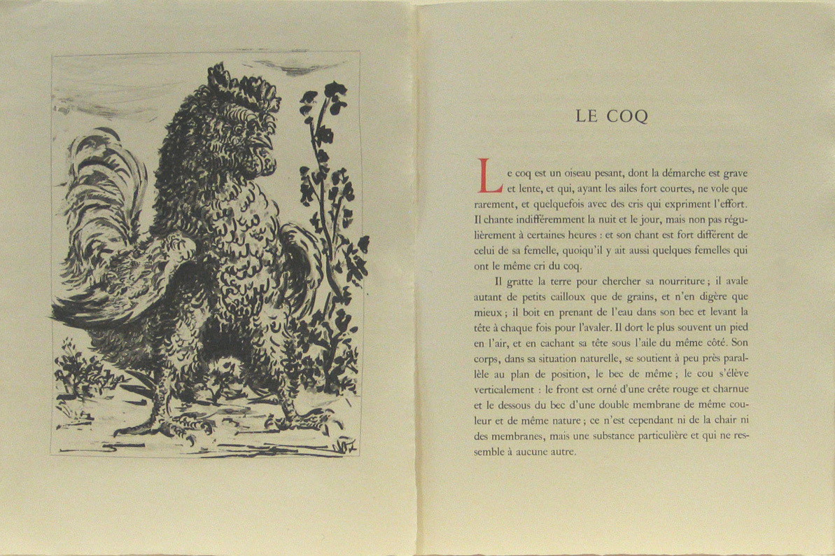 Pablo Picasso. The Cock (Le Coq) (plate, facing page 112) from Eaux ...