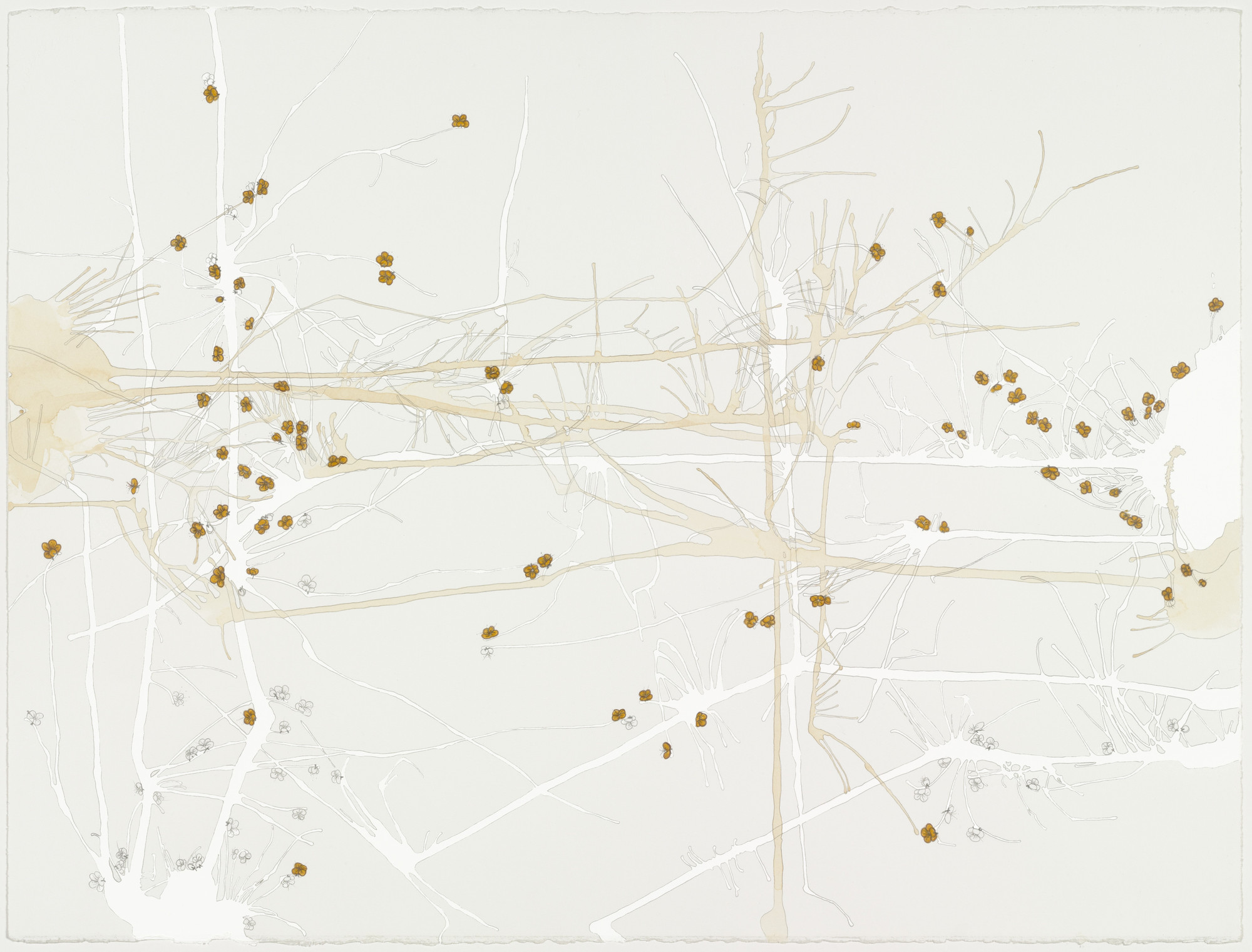 Debra Hampton. Untitled #16. 2003 | MoMA