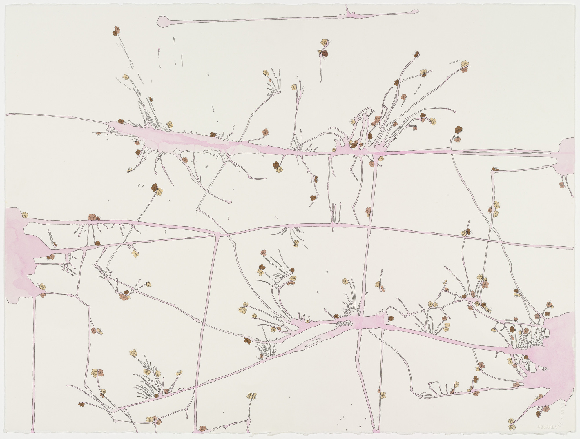 Debra Hampton. Untitled #14. 2003 | MoMA