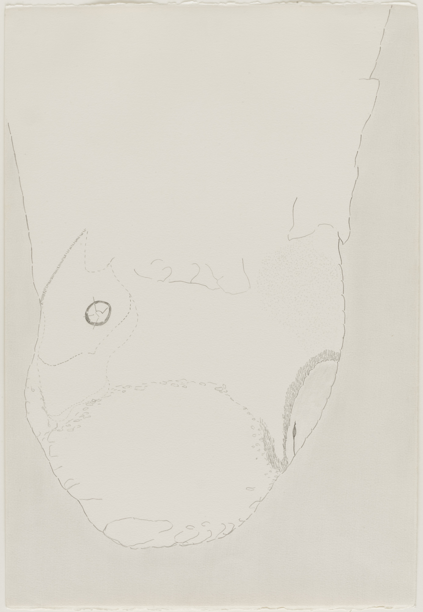 Ree Morton. Newfoundland Drawing. 1973 | MoMA