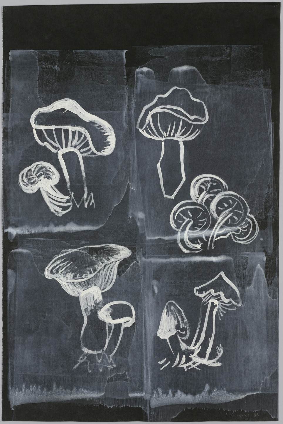 Ingeborg Gabriel. Untitled (mushrooms). (c. 1990) | MoMA