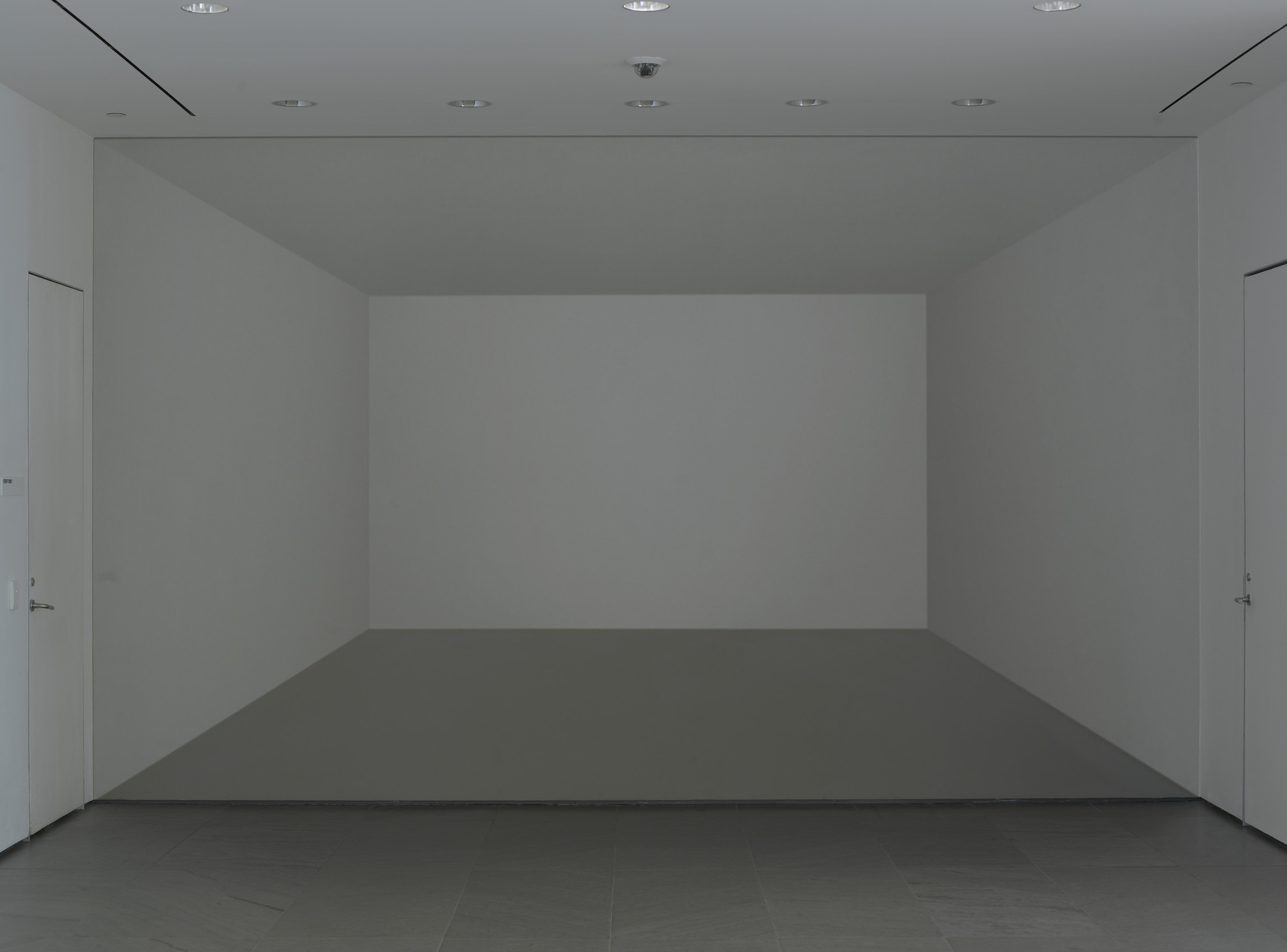 Ricci Albenda. Panning Annex (Albert). 2007 | MoMA