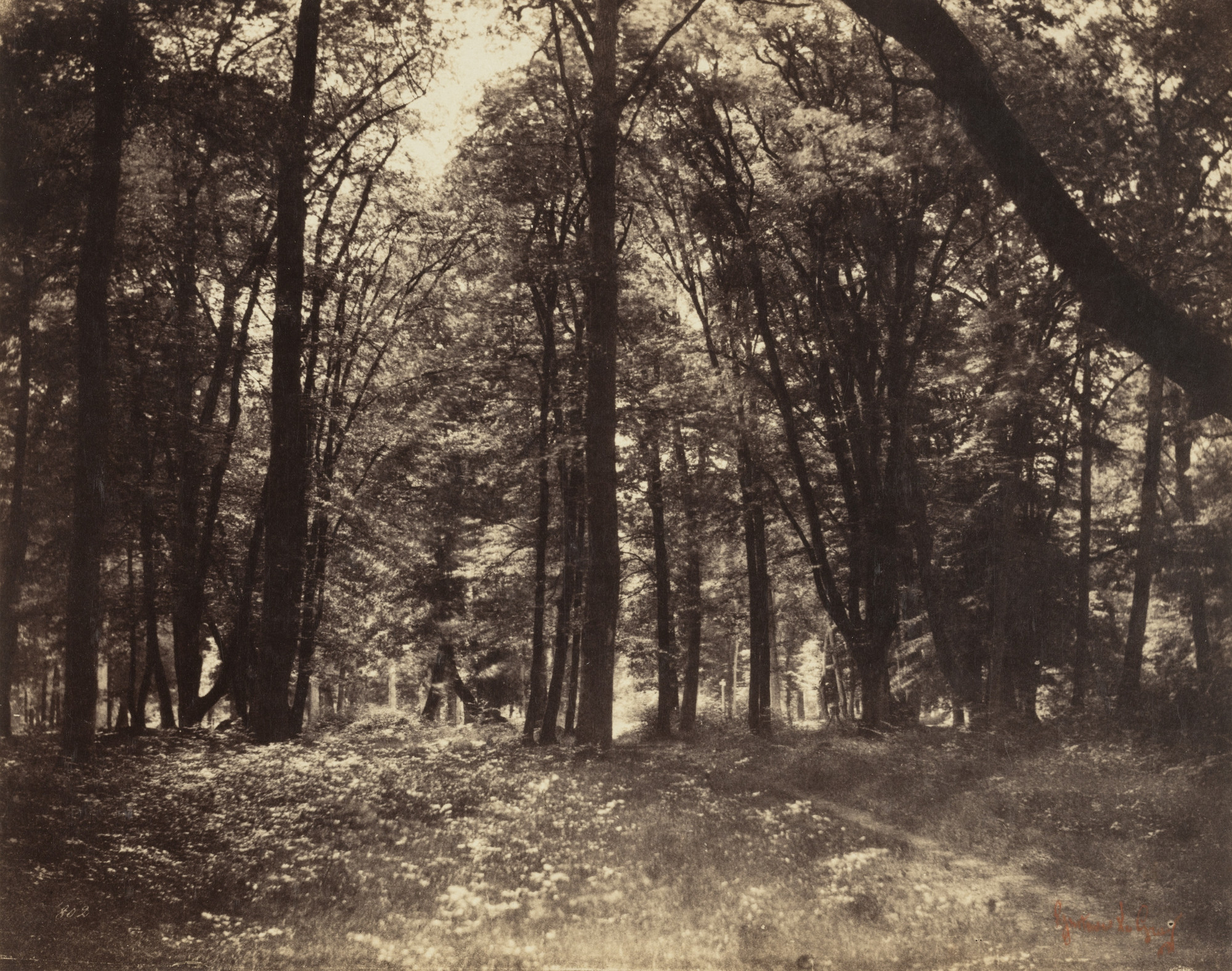 Gustave Le Gray. Untitled. 1852 | MoMA
