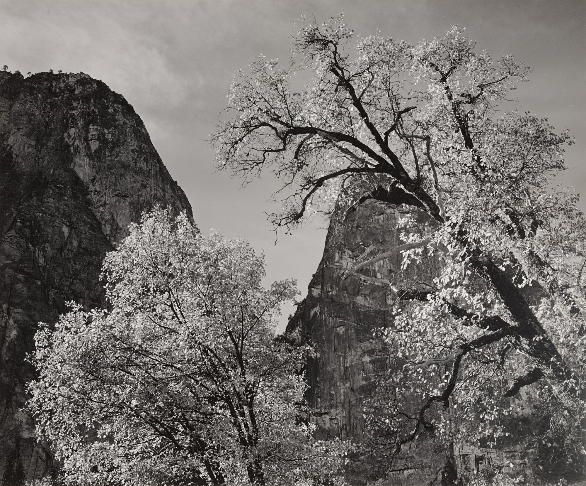 Ansel Adams. Autumn, Yosemite Valley, California. 1939 | MoMA