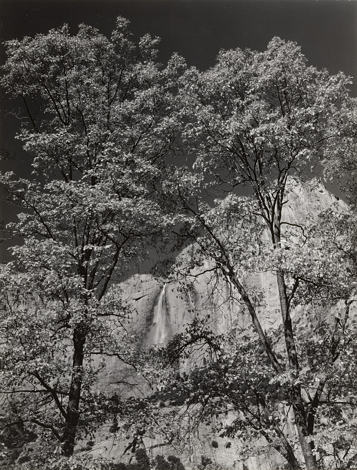 Ansel Adams. Autumn, Yosemite Valley, California. 1938 | MoMA