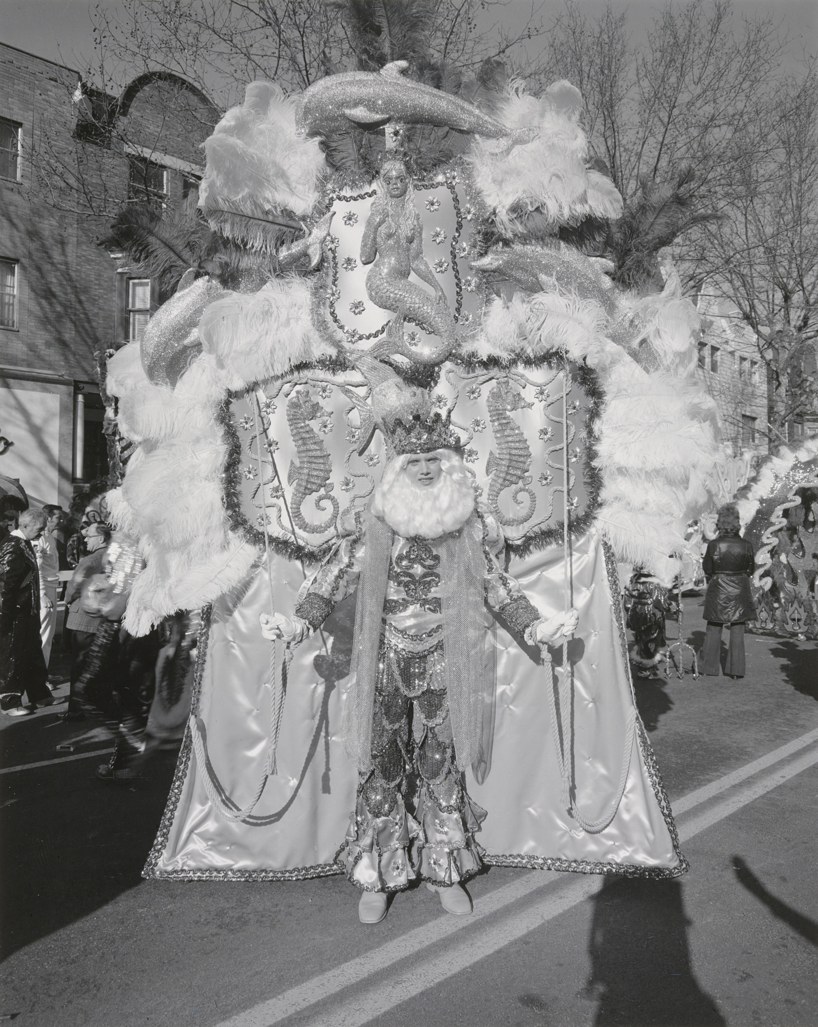 John Schott. Philadelphia Mummer. 1973 | MoMA