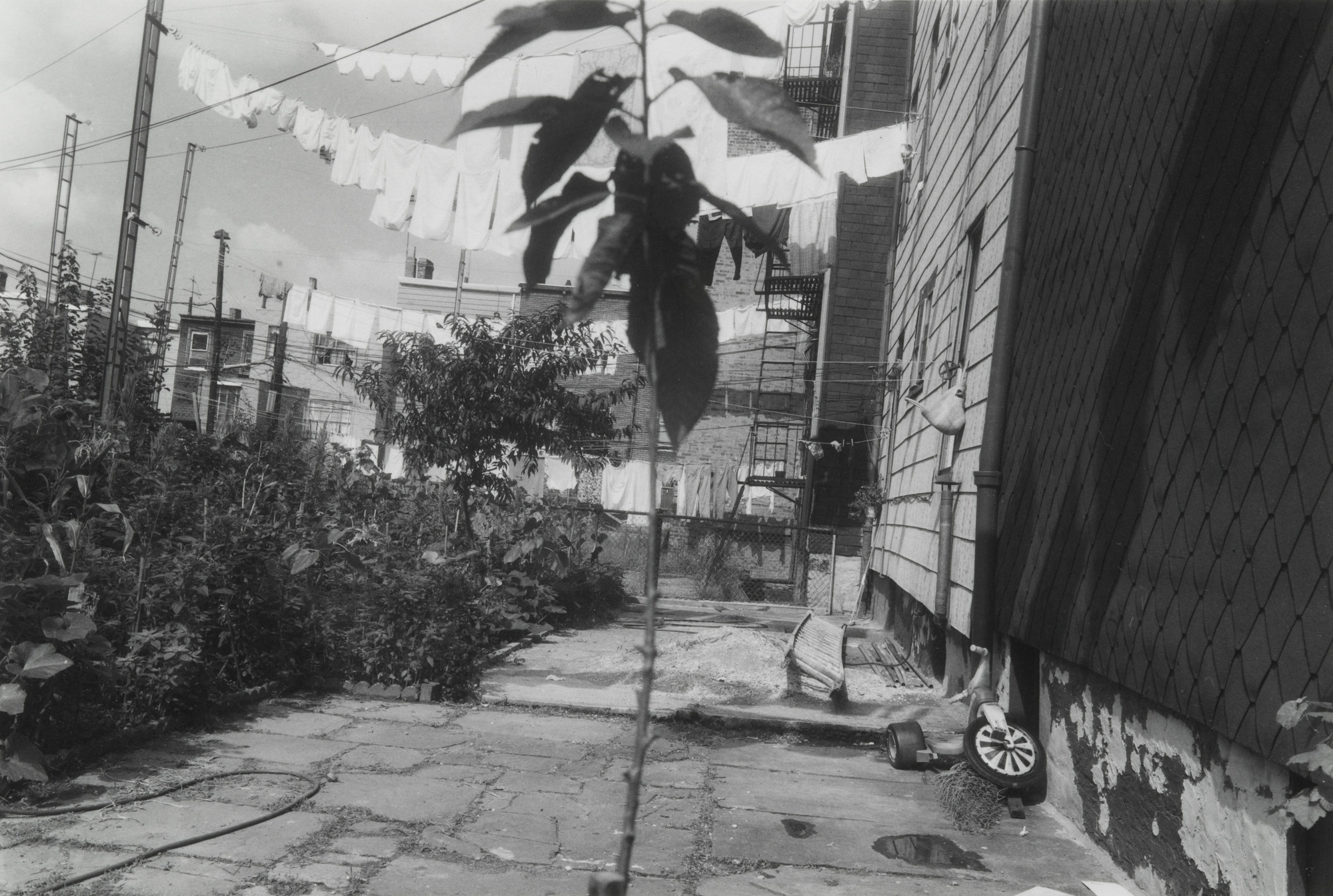 Thomas Roma. Untitled. 1974-80 | MoMA