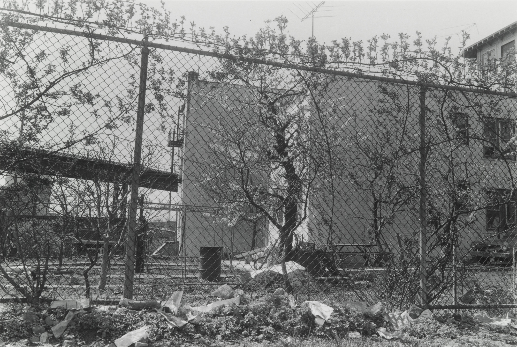 Thomas Roma. Untitled. 1974-80 | MoMA