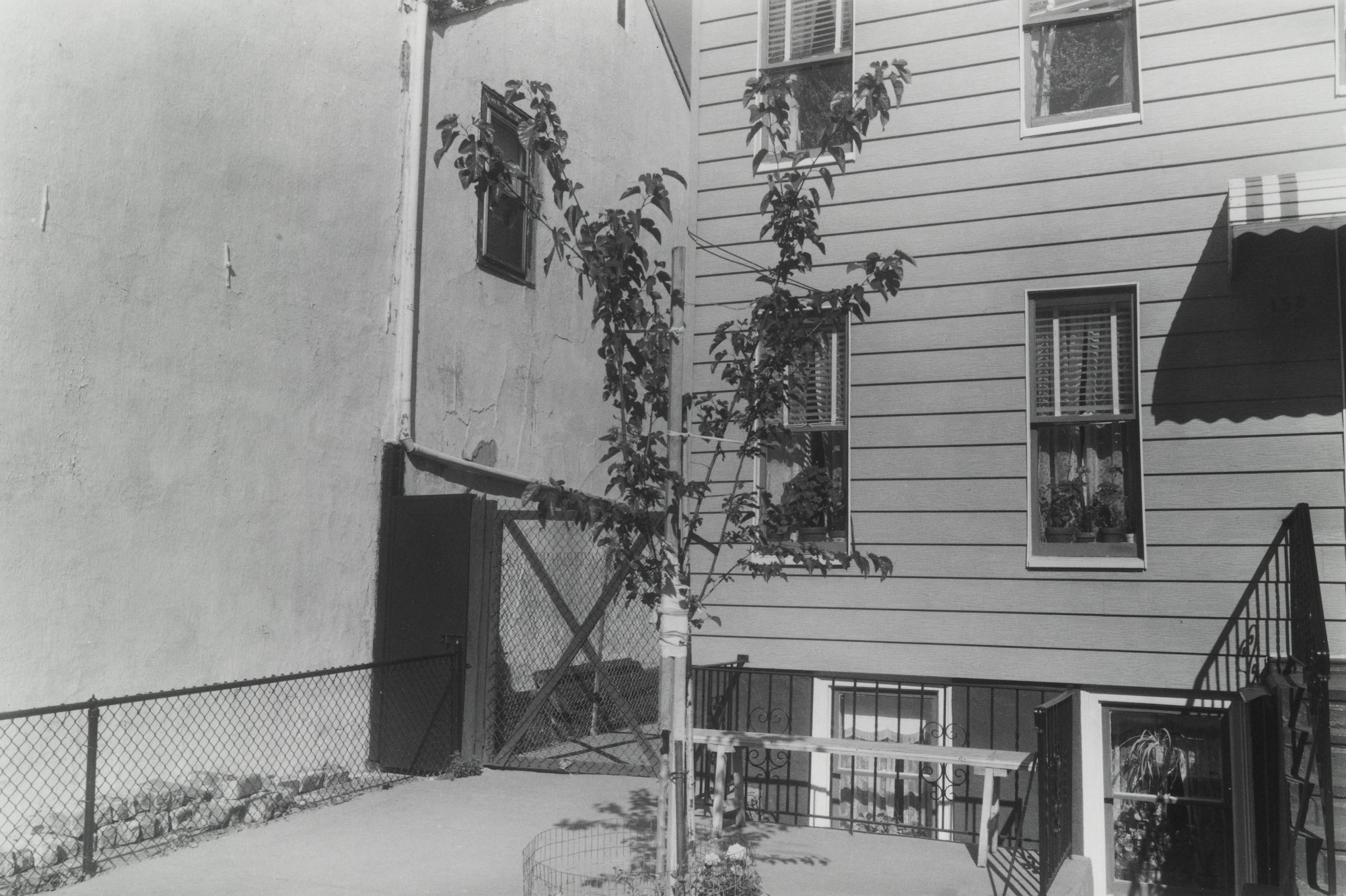 Thomas Roma. Untitled. 1974-80 | MoMA