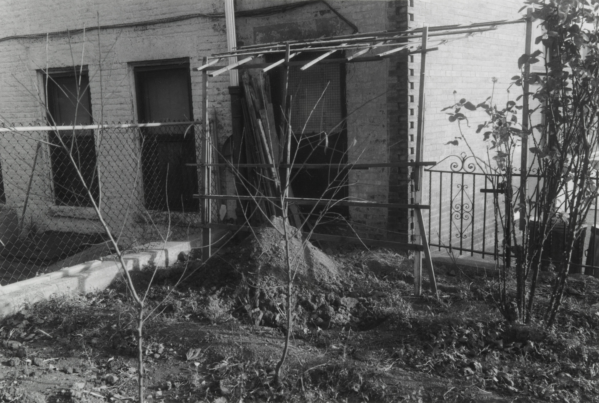 Thomas Roma. Untitled. 1974-80 | MoMA