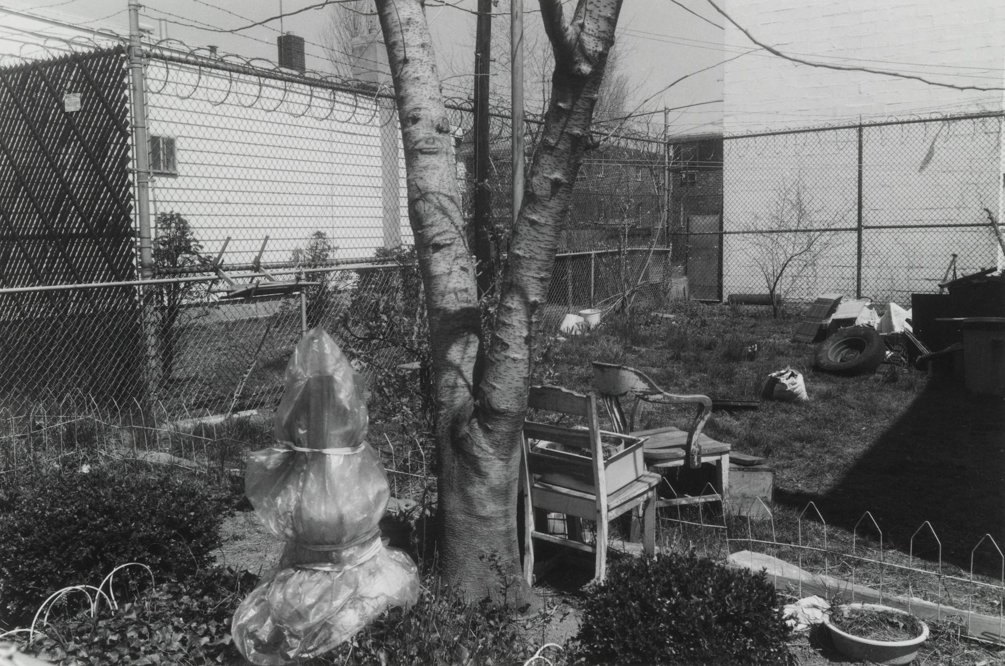 Thomas Roma. Untitled. 1974-80 | MoMA