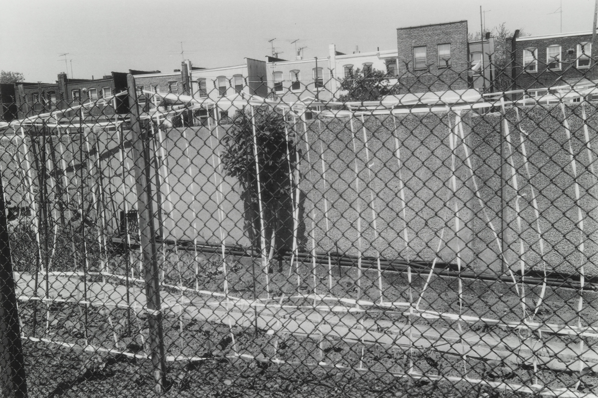 Thomas Roma. Untitled. 1974-80 | MoMA