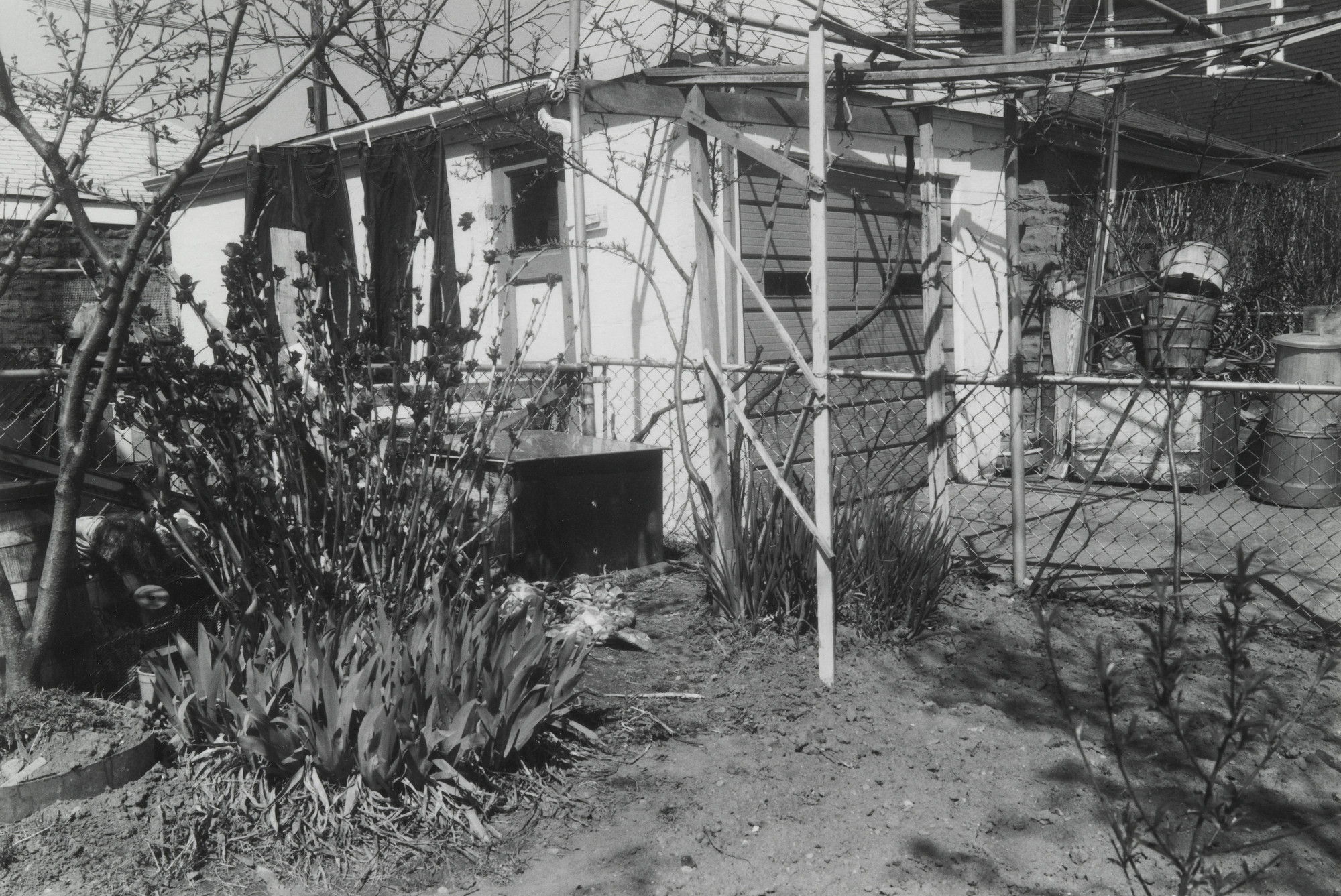 Thomas Roma. Untitled. 1974-80 | MoMA