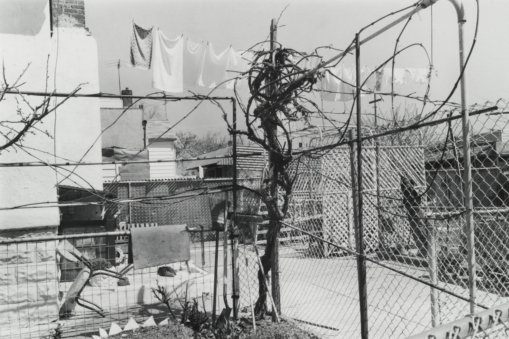 Thomas Roma. Untitled. 1974-80 | MoMA