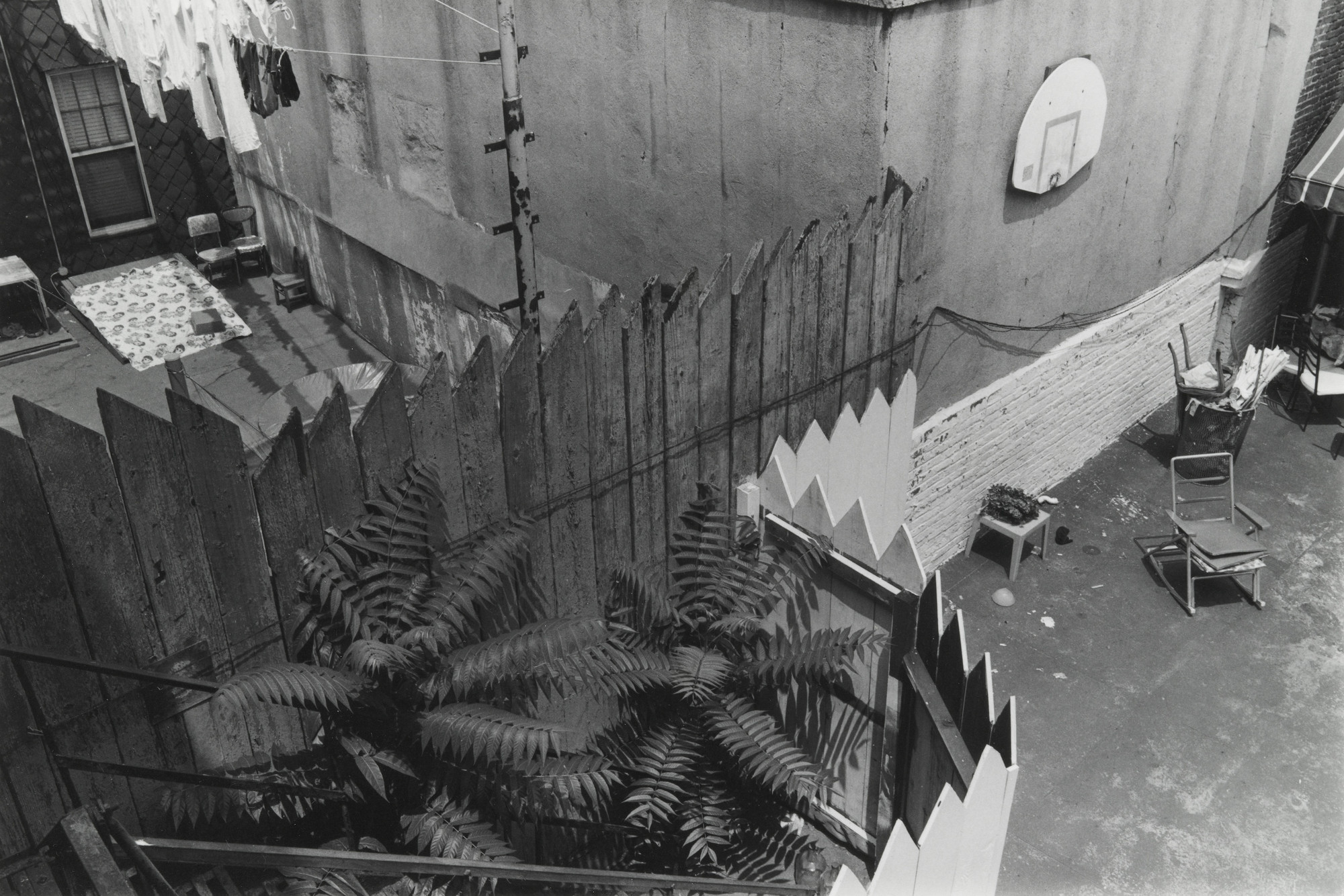 Thomas Roma. Untitled. 1974-80 | MoMA