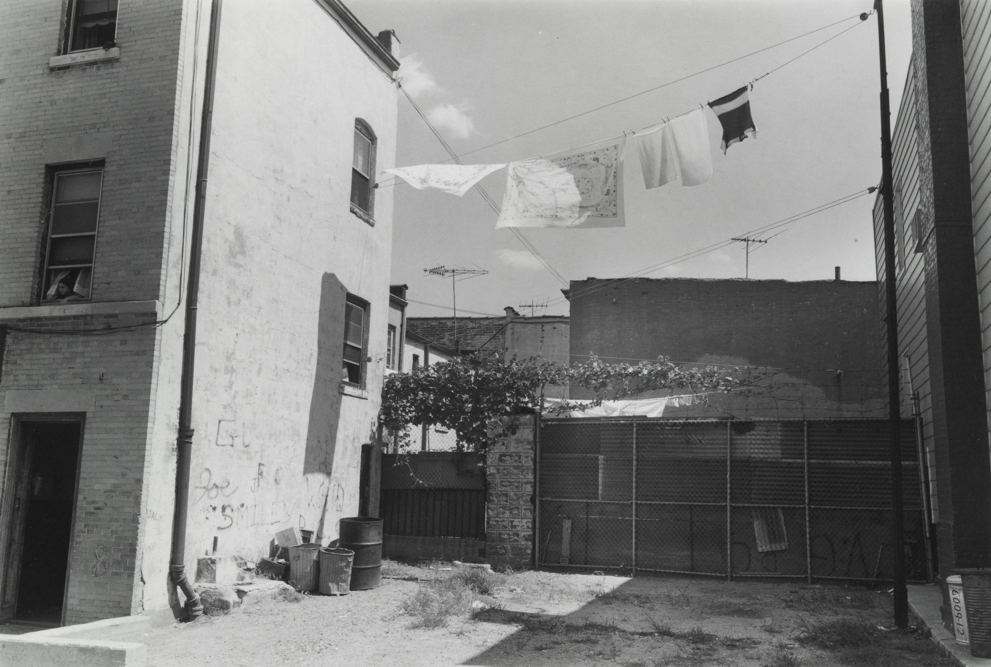 Thomas Roma. Untitled. 1974-80 | MoMA