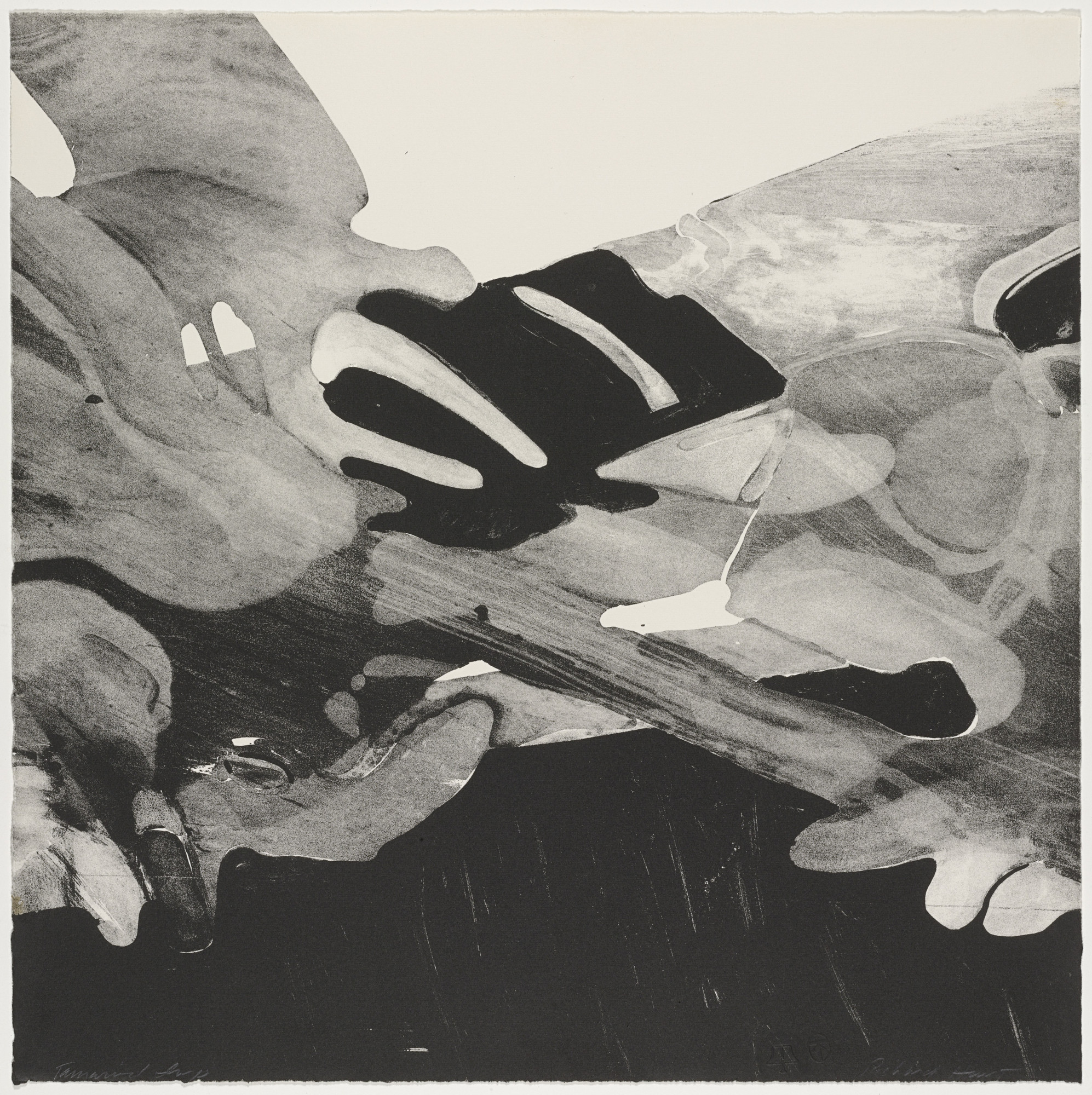 Richard Hunt. Untitled from Details. 1965 | MoMA