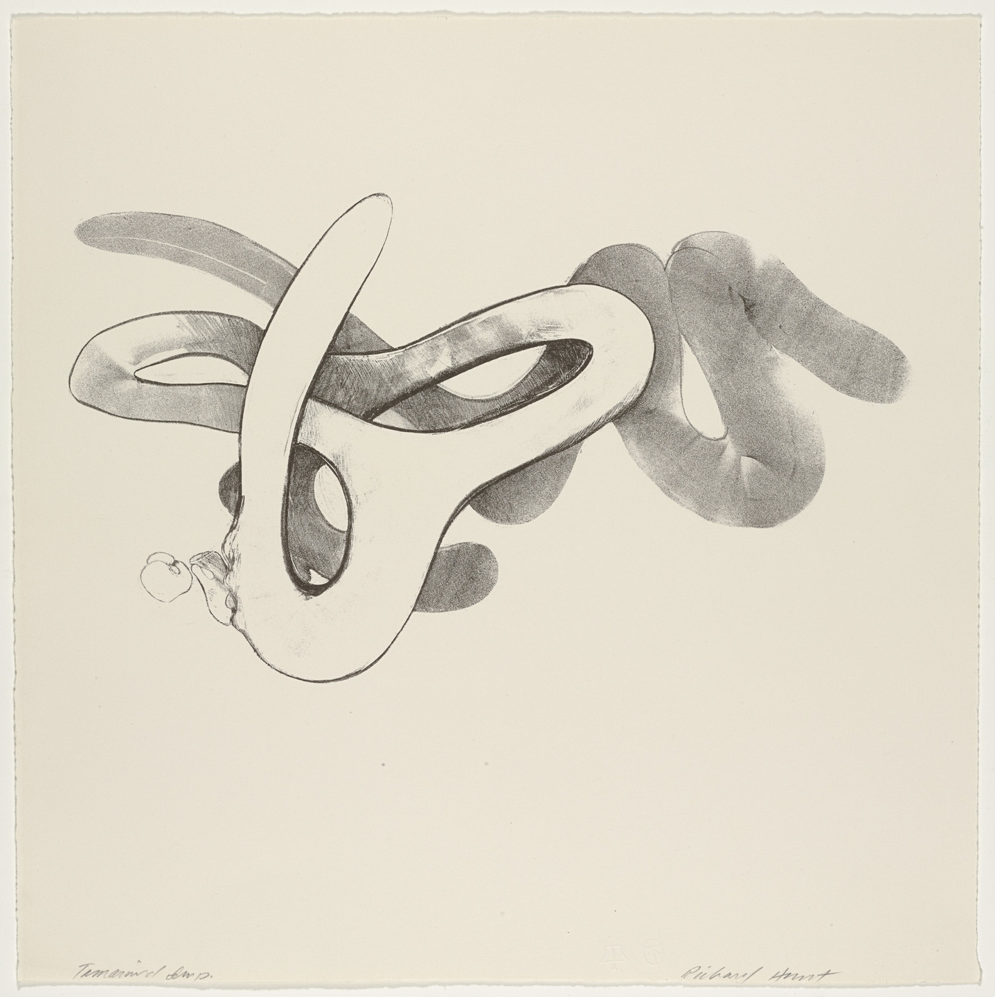 Richard Hunt. Untitled from Details. 1965 | MoMA