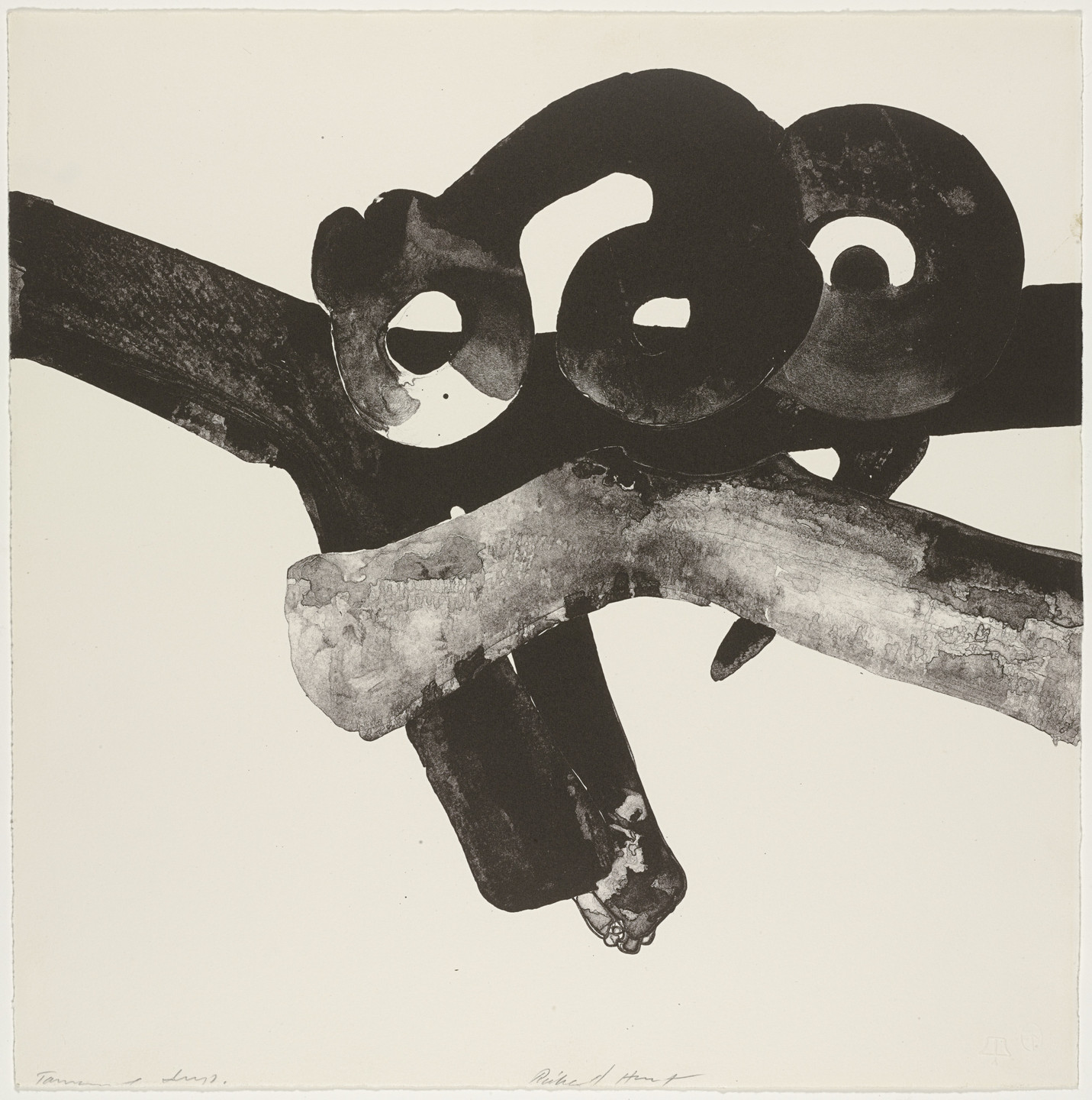 Richard Hunt. Untitled from Details. 1965 | MoMA