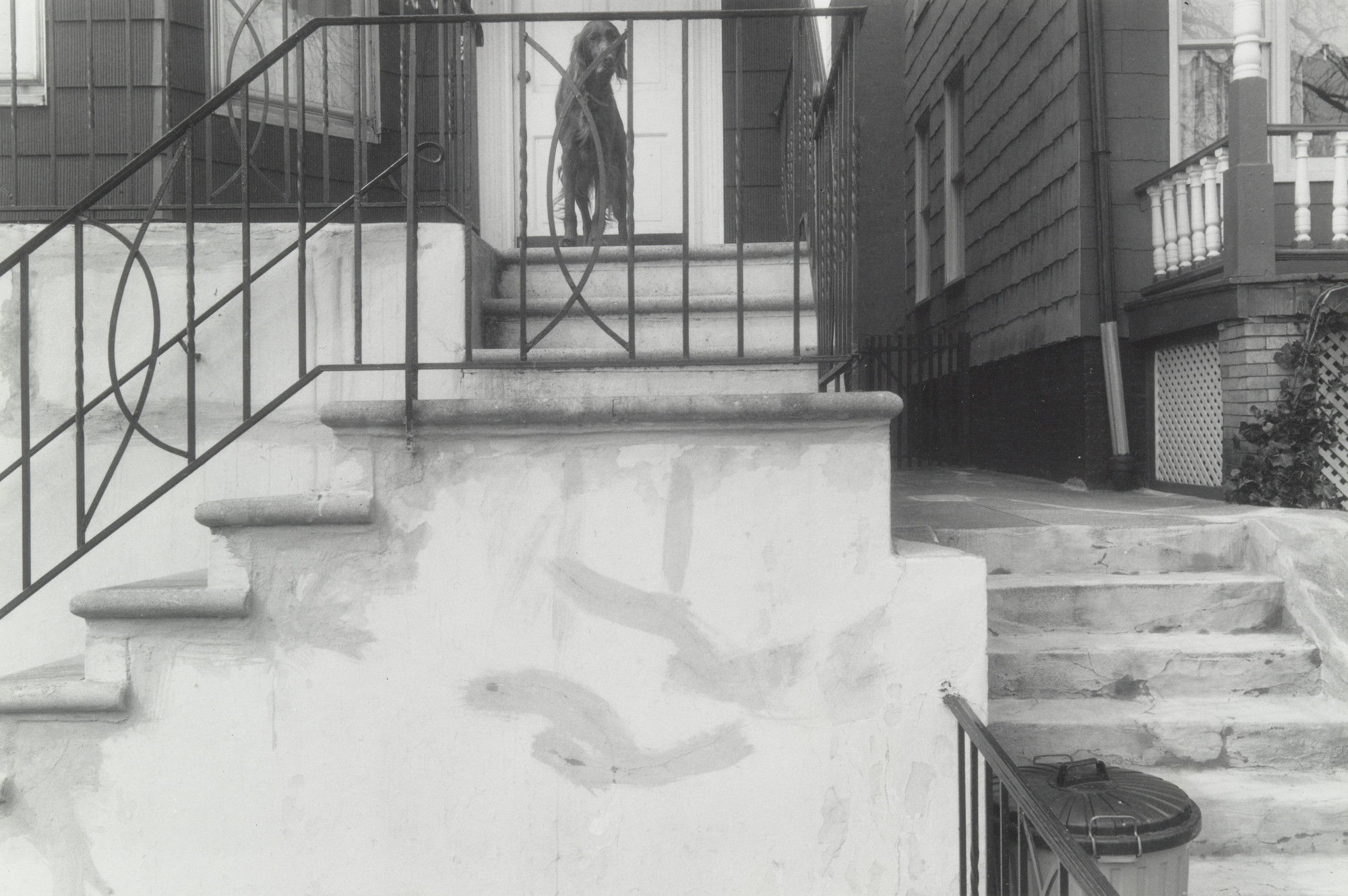 Thomas Roma. Pablo, Bensonhurst, Brooklyn. 1978 | MoMA