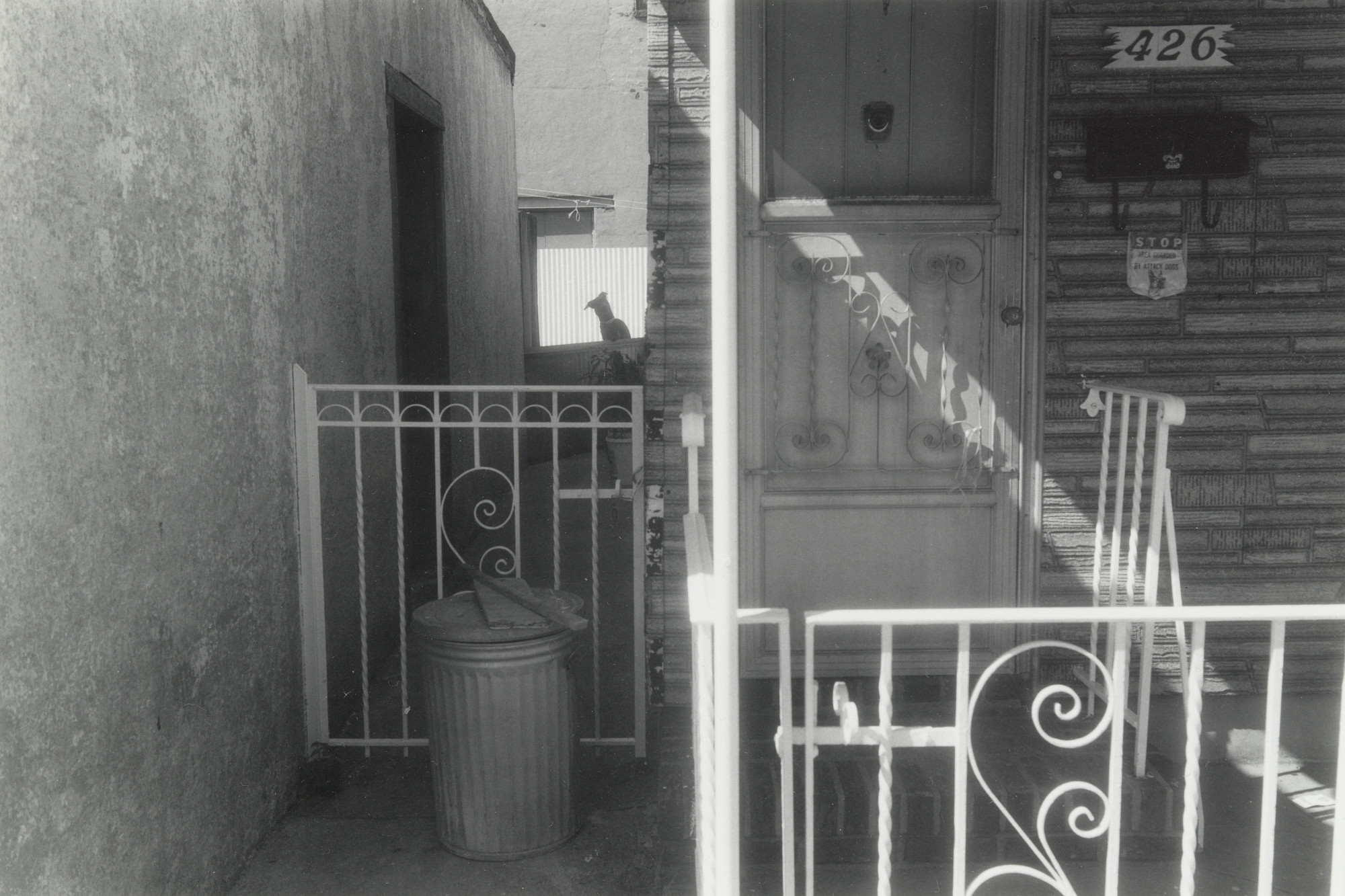 Thomas Roma. Bendico, Bay Ridge, Brooklyn. 1980 | MoMA