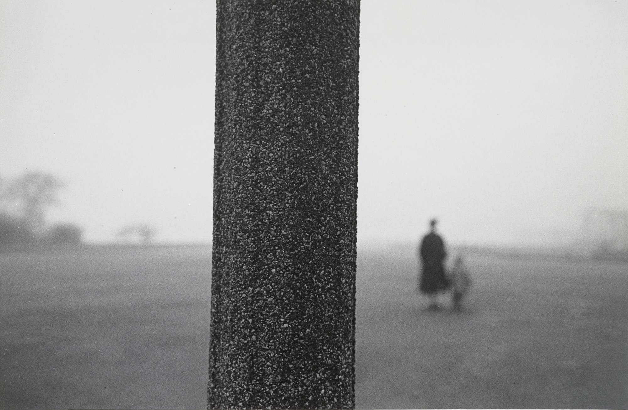 Harry Callahan Photography