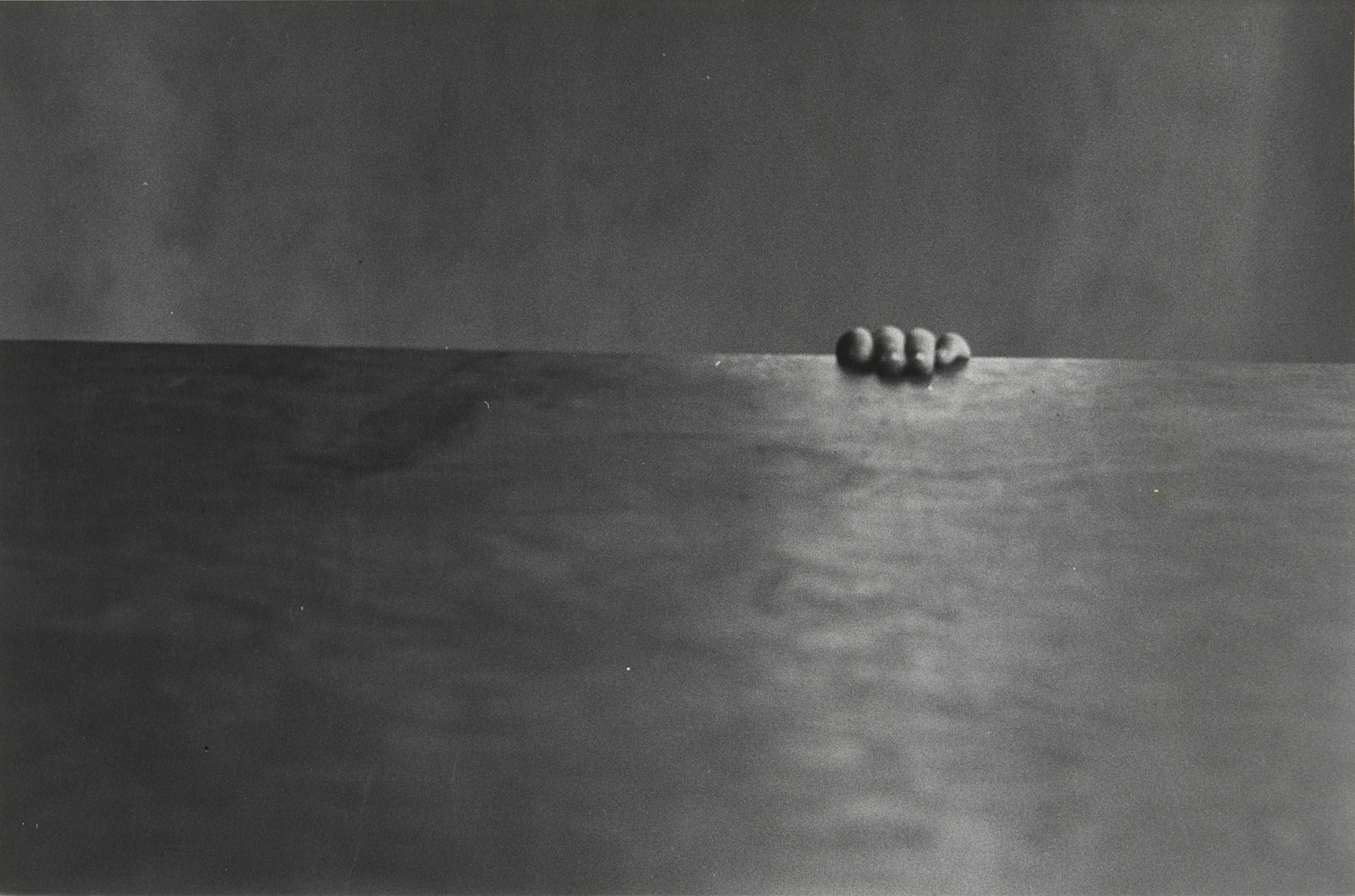 Harry Callahan. Untitled. c. 1953 | MoMA