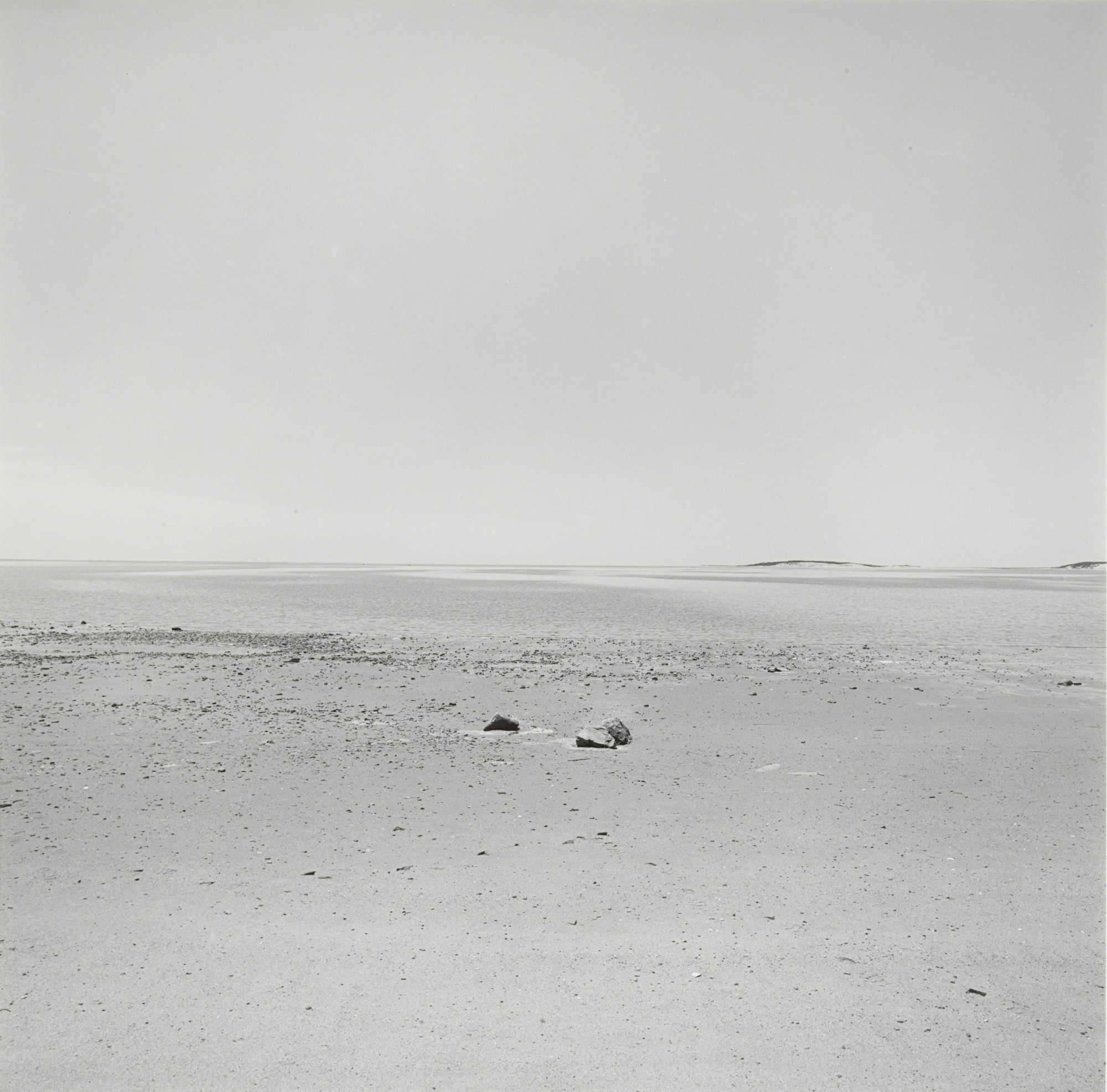 Harry Callahan. Cape Cod. 1972 | MoMA