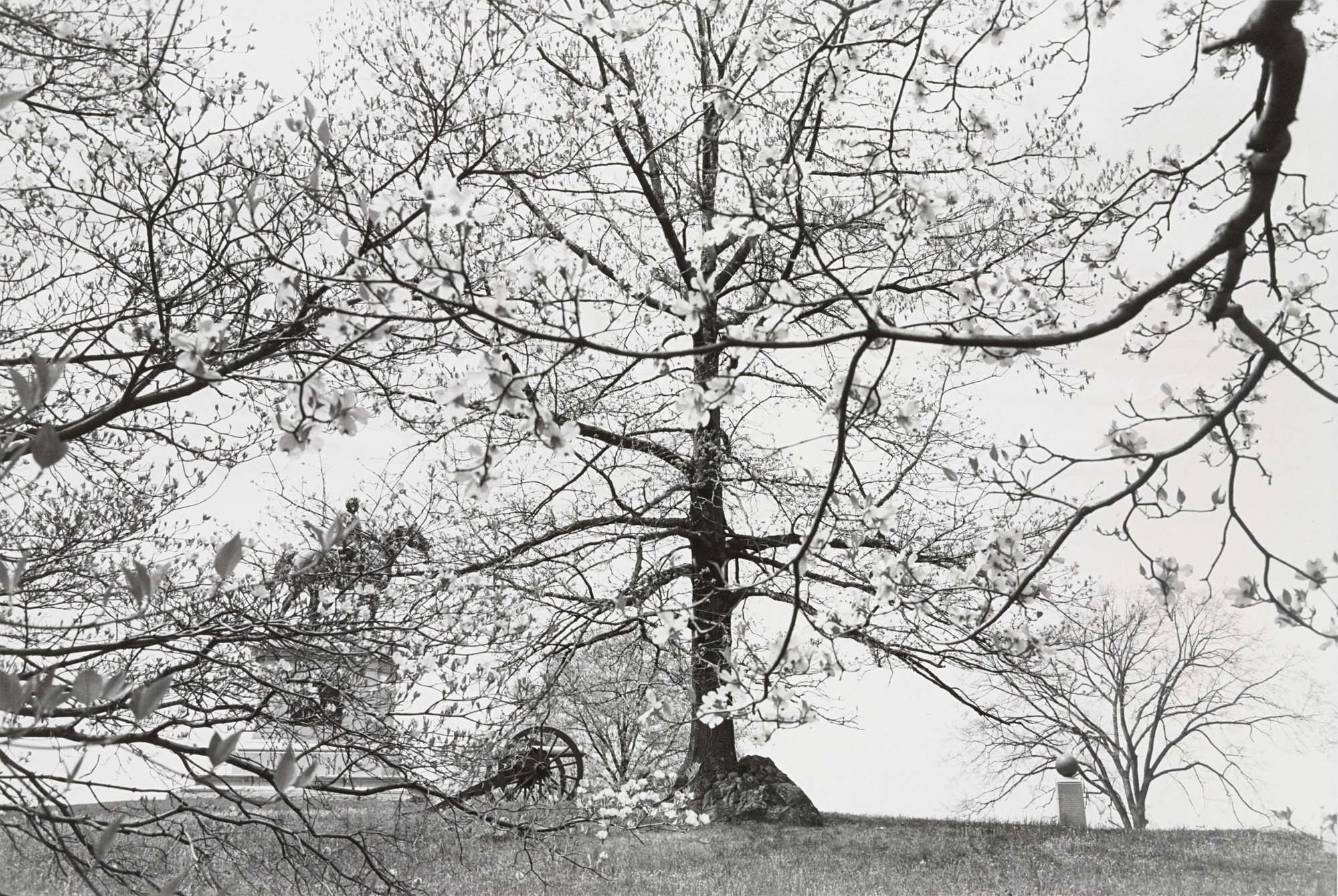 Lee Friedlander. Major General Harry W. Slocum, Napoleon Gun, and ...