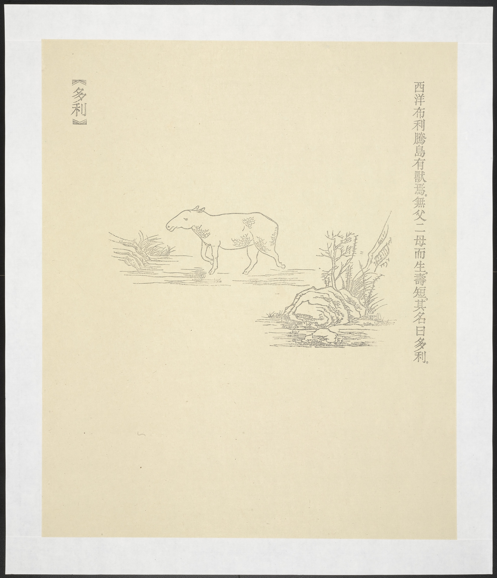 Qiu Anxiong. Duo Li from New Classic of Mountains and Seas. 2008 | MoMA